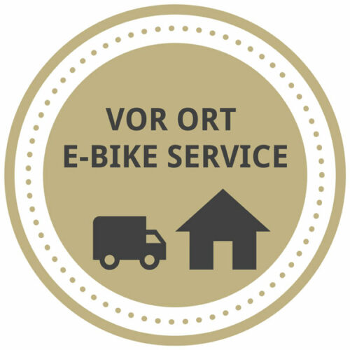 ®YouMo E-Bikes: beliebte e-Cruiser [aus der Schweiz]